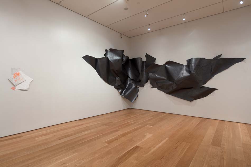 Joshua Neustein, Nancy Rubins : Paper into Sculpture, Nasher Sculpture ...