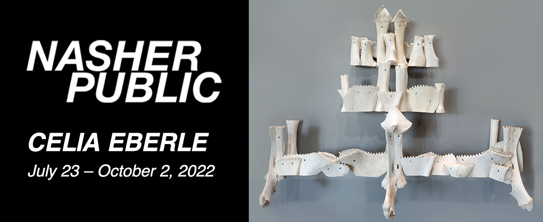 Nasher Sculpture Center Announces Nasher Public: Celia Eberle | News & Press - Press Release